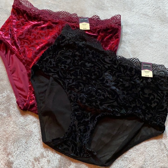 Ambrielle | Intimates & Sleepwear | M6 Sexy Velvet Burn Out Mesh Bottom ...